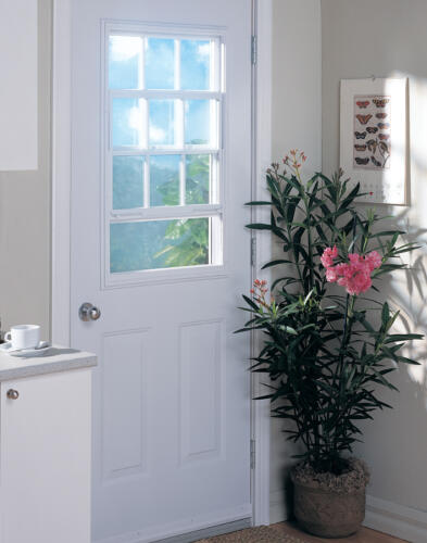 Novatech Collection of Front Entry Doors